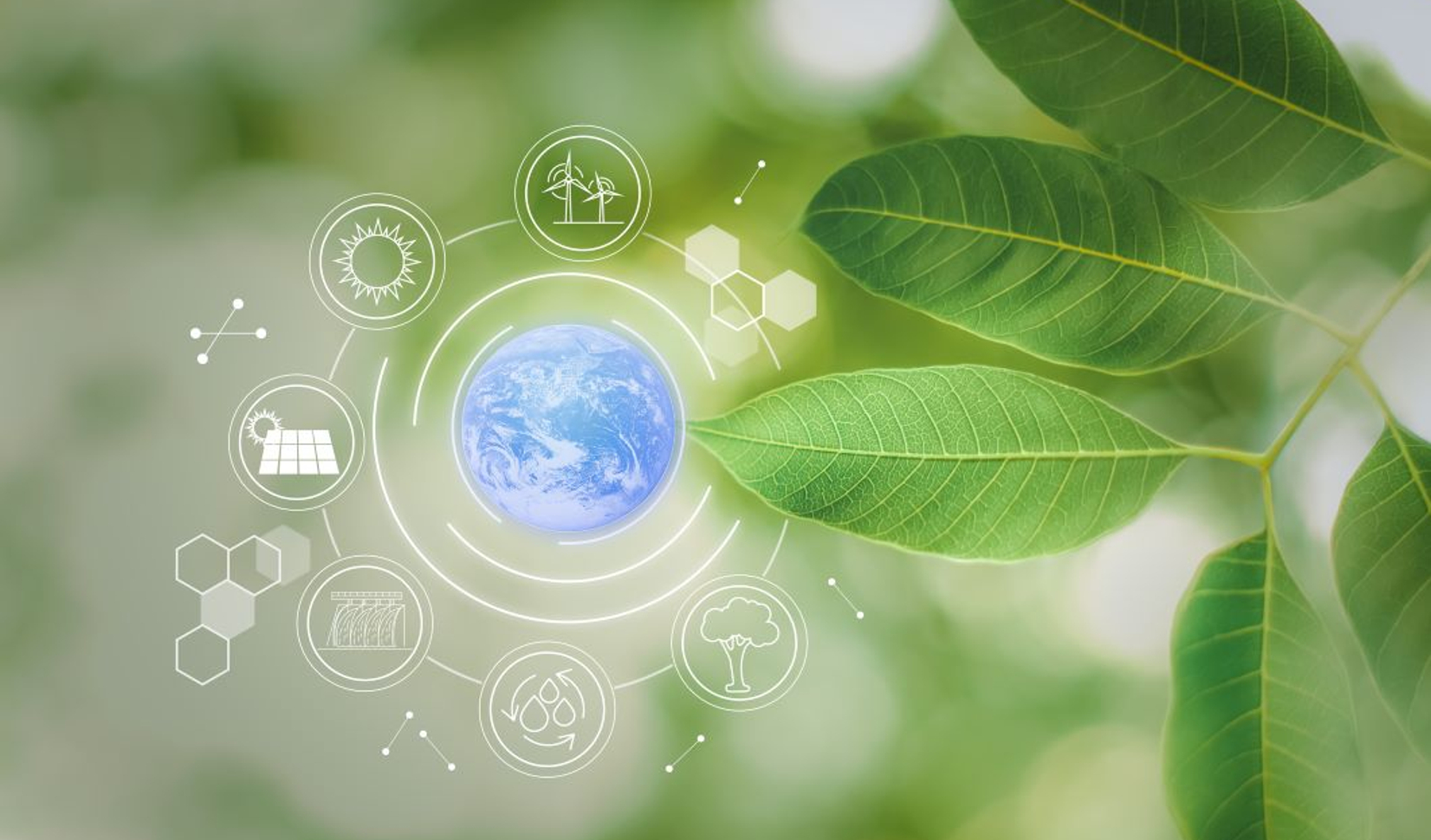 Ногоон эдийн засгийг санхүүжүүлэх хөтөлбөрийн нээлт болно